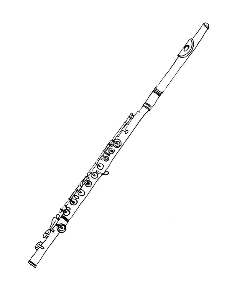 flute | The Fun Music Company